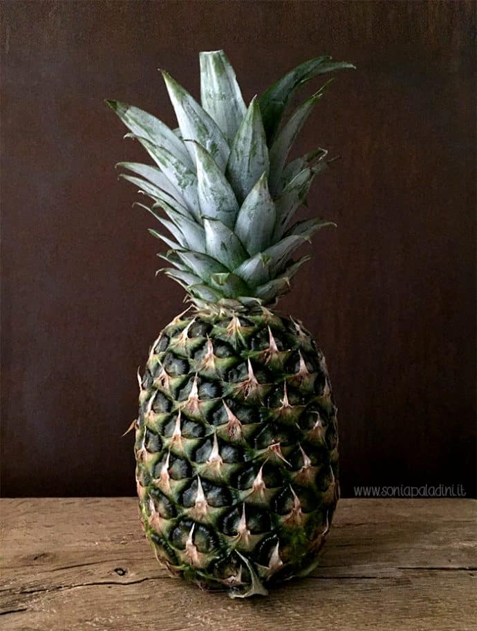 Cheesecake con coulisse all’ ananas | ricetta sonia Paladini | Parma